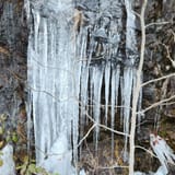 Beech Bottom Trail, Tennessee - 406 Reviews, Map | AllTrails