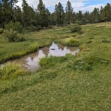 Ice Cave via Blue Ridge Cave Trail No. 608, Arizona - 525 Reviews, Map ...