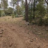 Ice Cave via Blue Ridge Cave Trail No. 608, Arizona - 525 Reviews, Map ...