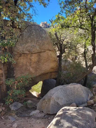 Best Views Trails in Dragoon | AllTrails