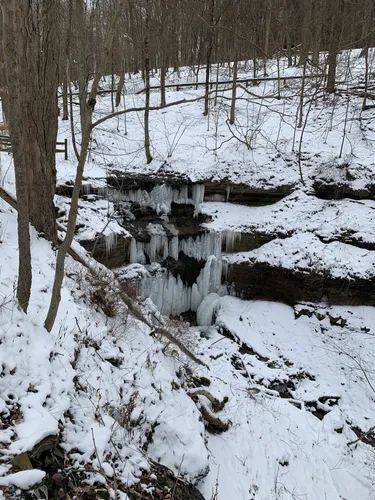 Best Hikes and Trails in Braddocks Trail Park | AllTrails