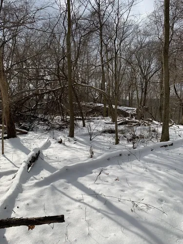 Best Hikes and Trails in Braddocks Trail Park | AllTrails