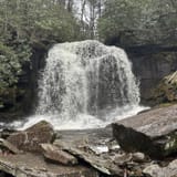 Blue Trail East to Mullet Falls Trail, New York - 834 Reviews, Map ...