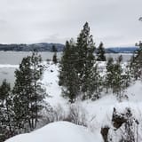 Tubbs Hill, Idaho - 3,854 Reviews, Map | AllTrails