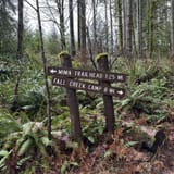 Mima Falls Loop, Washington - 1,410 Reviews, Map | AllTrails