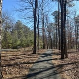 Deep Run Park Trails, Virginia - 1,306 Reviews, Map | AllTrails