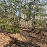 Deep Run Park Trails, Virginia - 1,306 Reviews, Map | AllTrails