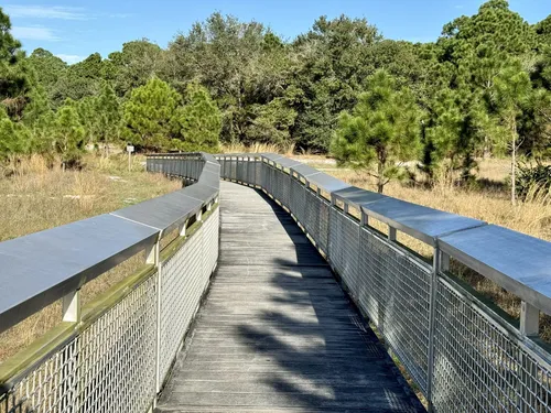 Best Hikes and Trails in Miramar Pineland Natural Area | AllTrails