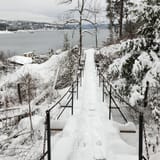 Tubbs Hill, Idaho - 3,854 Reviews, Map | AllTrails