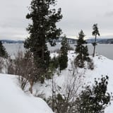 Tubbs Hill, Idaho - 3,854 Reviews, Map | AllTrails