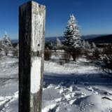 Wilburn Ridge via Appalachian Trail, Virginia - 1,799 Reviews, Map ...