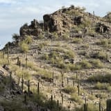 Freedom Trail (#302), Arizona - 4,122 Reviews, Map | AllTrails