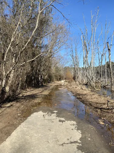 Best Hikes and Trails in Sandy Creek Park | AllTrails