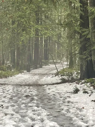 Best Hikes and Trails in Diana Princess of Wales Wilderness Park ...