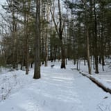 Arbutus Park and Raven Rookery Trail Loop , Massachusetts - 623 Reviews ...