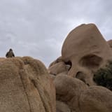 Skull Rock, California - 2,871 Reviews, Map | AllTrails