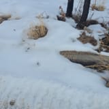 Moody Hill OHV Route, Colorado - 99 Reviews, Map | AllTrails