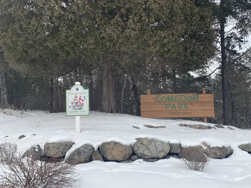 Best Hikes and Trails in Congdon Park | AllTrails