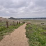 Quail Loop Trail, California - 1,692 Reviews, Map | AllTrails