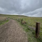 Quail Loop Trail, California - 1,692 Reviews, Map | AllTrails