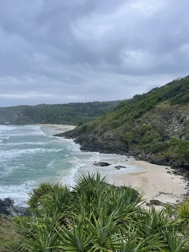 Best Hikes and Trails in Broken Head Nature Reserve | AllTrails