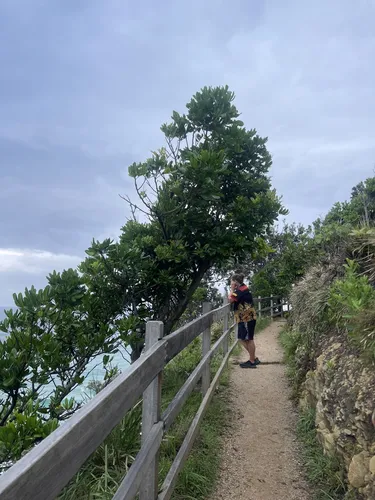 Best Hikes and Trails in Broken Head Nature Reserve | AllTrails