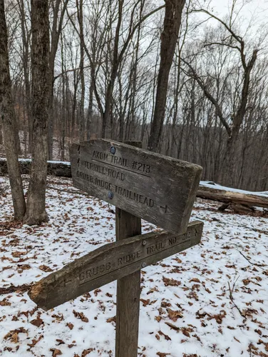 Best Walking Trails in Norman | AllTrails