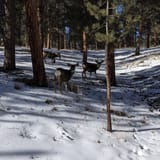 Davis Ponds Trail, Colorado - 1,198 Reviews, Map | AllTrails