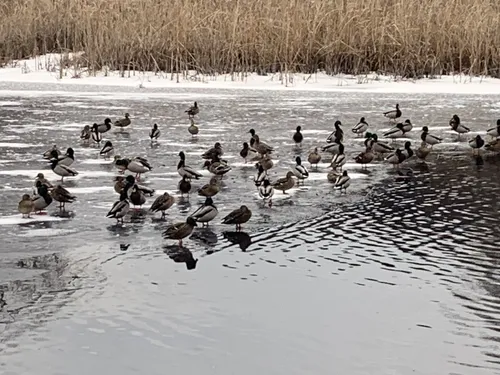 Best Hikes and Trails in Mound Springs Park | AllTrails