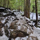 Heather Lake Trail, Washington - 5,593 Reviews, Map | AllTrails