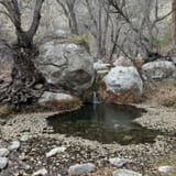 Smith Spring and Manzanita Spring Loop, Texas - 1,262 Reviews, Map ...