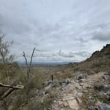 Freedom Trail (#302), Arizona - 4,122 Reviews, Map | AllTrails
