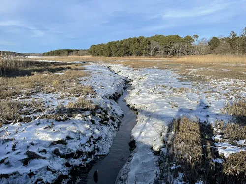 Best Hikes and Trails in Mass Audubon Wellfleet Bay Wildlife Sanctuary ...