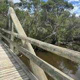 Balcombe Creek Estuary Boardwalk, Victoria, Australia - 196 Reviews ...
