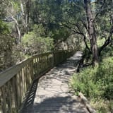 Balcombe Creek Estuary Boardwalk, Victoria, Australia - 196 Reviews ...