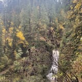 South Falls and Maple Ridge Loop, Oregon - 1,867 Reviews, Map | AllTrails
