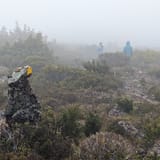 Rodway Range Loop, Tasmania, Australia - 62 Reviews, Map | AllTrails