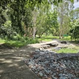 Cabbage Tree Creek, Queensland, Australia - 97 Reviews, Map | AllTrails