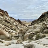 Grapevine Canyon Trail, Nevada - 542 Reviews, Map | AllTrails