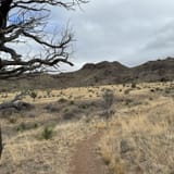 Soledad Canyon Loop, New Mexico - 1,256 Reviews, Map | AllTrails