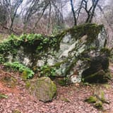 Hidden Falls Trail, California - 3,471 Reviews, Map | AllTrails