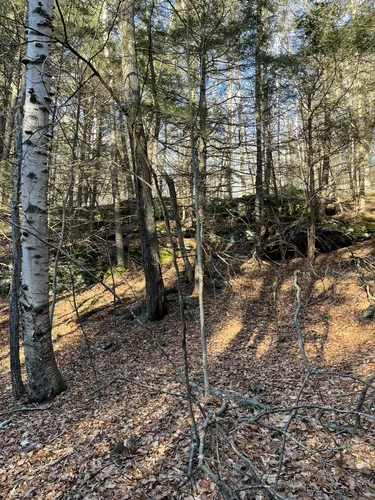 Best Hikes and Trails in High Ledges Wildlife Sanctuary | AllTrails