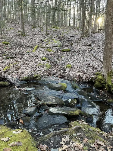 Best Hikes and Trails in High Ledges Wildlife Sanctuary | AllTrails