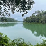 Bukit Ulu Choh, Johor, Malaysia - 14 Reviews, Map | AllTrails