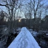 Cato's Ridge, Massachusetts - 476 Reviews, Map | AllTrails