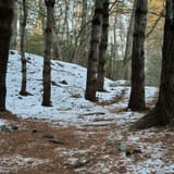 Cato's Ridge, Massachusetts - 476 Reviews, Map | AllTrails