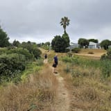 Majik Forest Walking Trail, Western Cape, South Africa - 189 Reviews ...