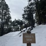 Eagle's View Trail Loop, Colorado - 2,955 Reviews, Map | AllTrails