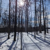 Hal and Berni Hanson Park Loop, Virginia - 104 Reviews, Map | AllTrails