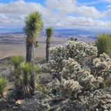 Ryan Mountain, California - 6,999 Reviews, Map | AllTrails